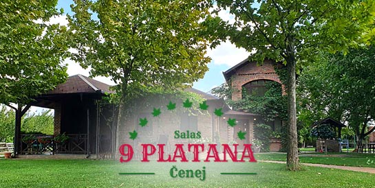 Salaš 9 platana